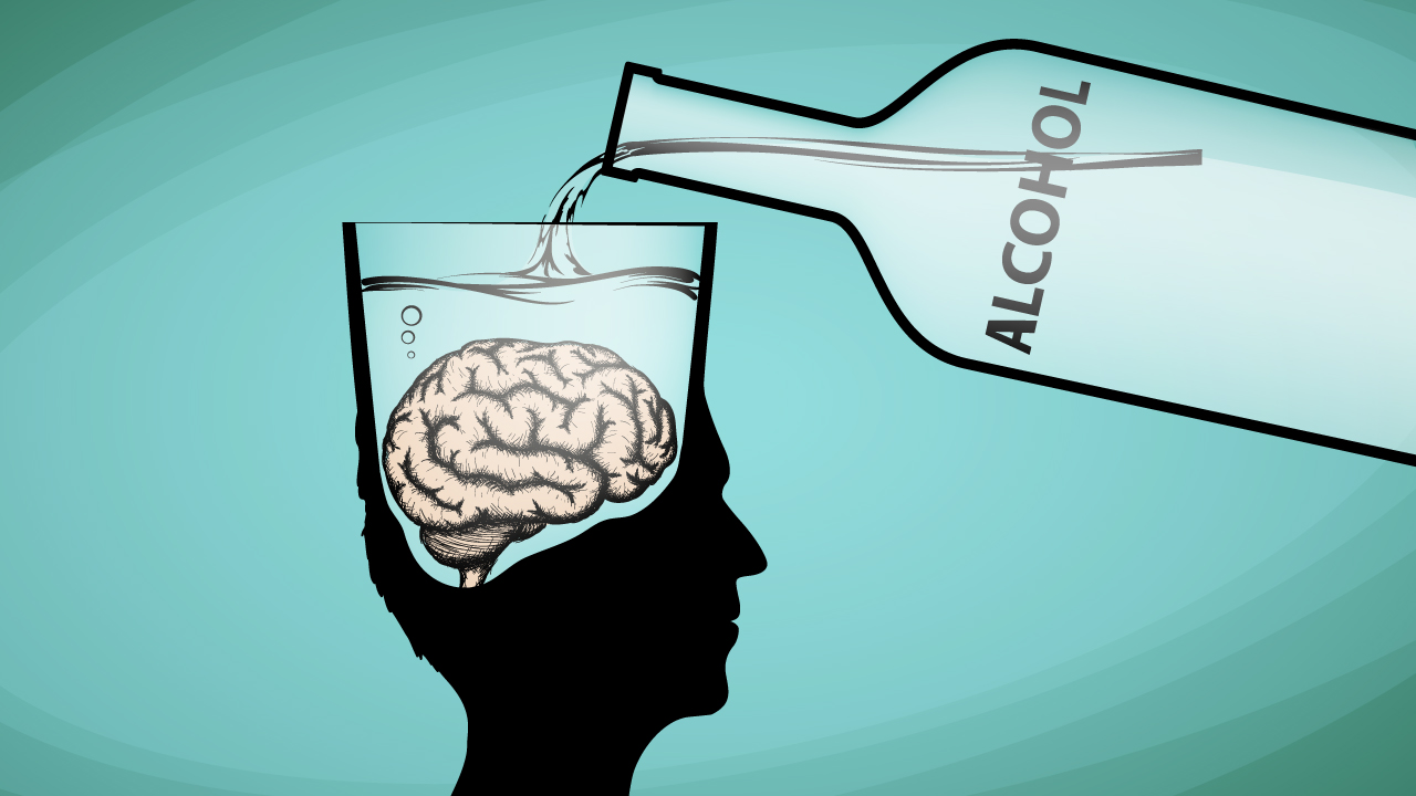 Consumo de alcohol: qué consecuencias tiene sobre el cerebro ...